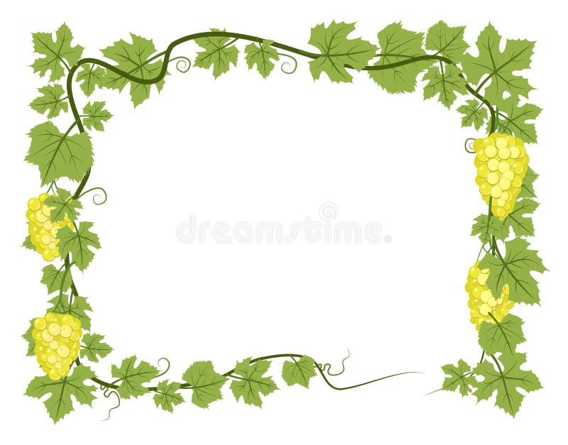 Rectangular Frame. Vine with Foliage and Bunches of Grapes. Viticulture ...