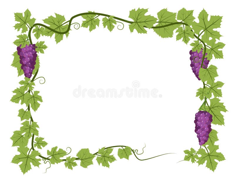 Rectangular Frame. Vine with Foliage and Bunches of Grapes. Viticulture ...