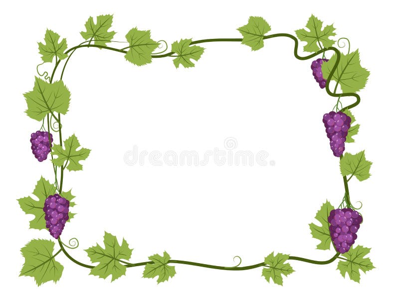 Rectangular Frame. Vine with Foliage and Bunches of Grapes. Viticulture ...