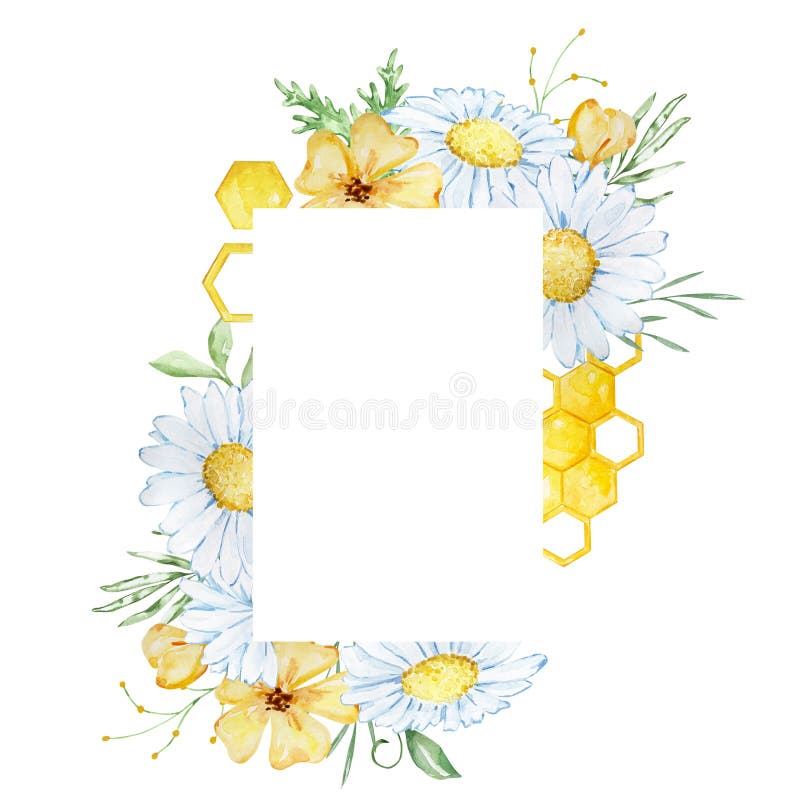 Rectangular Frame with Watercolor Chamomile and Honeycomb Stock Vector ...