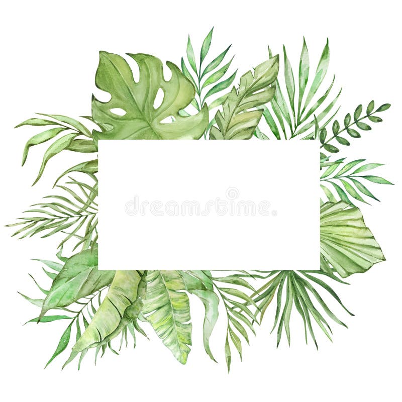 Rectangular Frame with Watercolor Tropical Leaves Stock Illustration ...