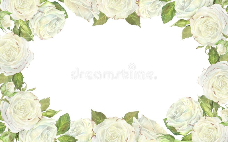 Rectangular Frame with White Roses and Leaves. Watercolor Illustration ...