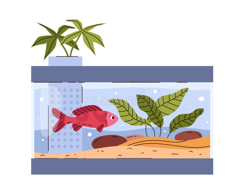 Rectangular Tank Stock Illustrations – 364 Rectangular Tank Stock ...