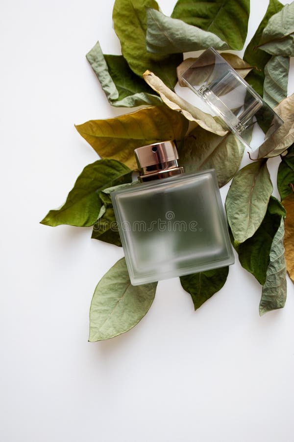 Rectangular Glass Perfume Bottle on Dried Leaves Stock Photo - Image of ...