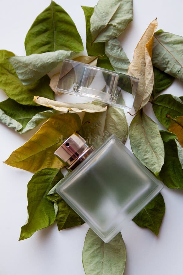 Rectangular Glass Perfume Bottle on Dry Leaves Stock Image - Image of ...