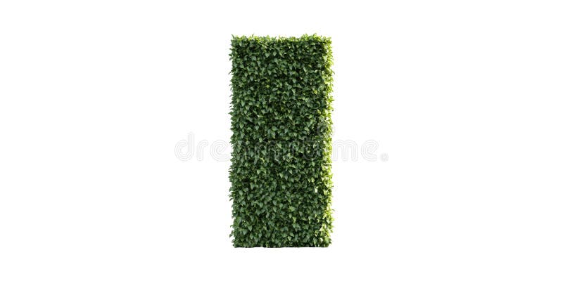 Rectangular Green Hedge. Landscaping and Privacy Solutions Isolated on ...
