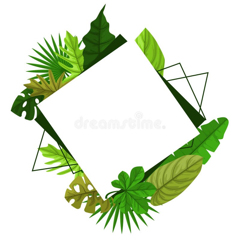Rectangular Green Tropical Plant Summer Leaf Border Frame Background ...