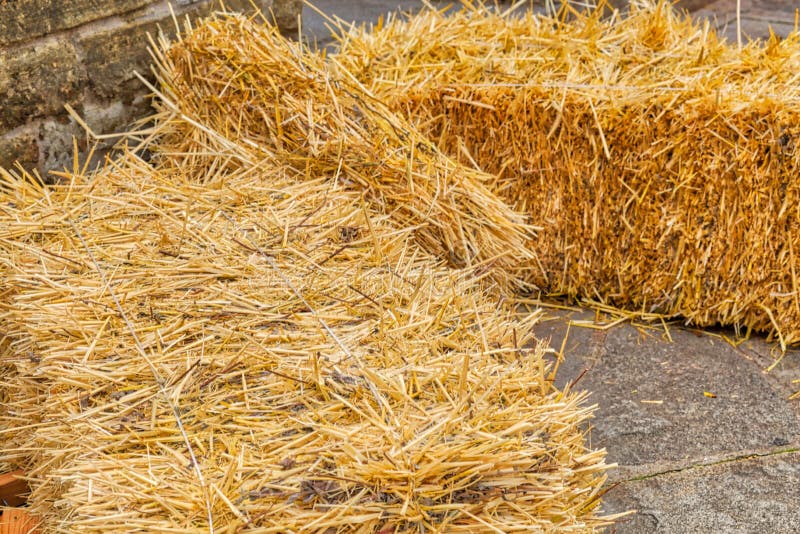 Rectangular Bales Of Hay At The Horizon Stock Photo - Image of green ...