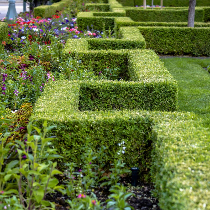 Rectangular Hedge and Flowers in a Park Stock Image - Image of flowers ...