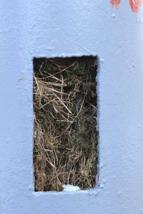 Rectangular Hole, Wooden Background of Natural Wood, Concept of Natural ...