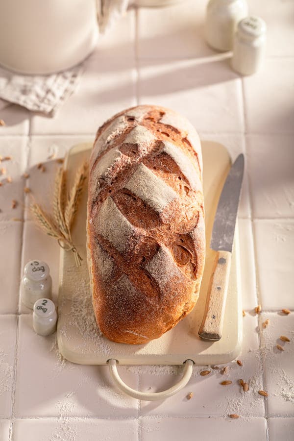 Rectangular Hot Loaf Rye Bread Baked Kitchen Stock Photos - Free ...