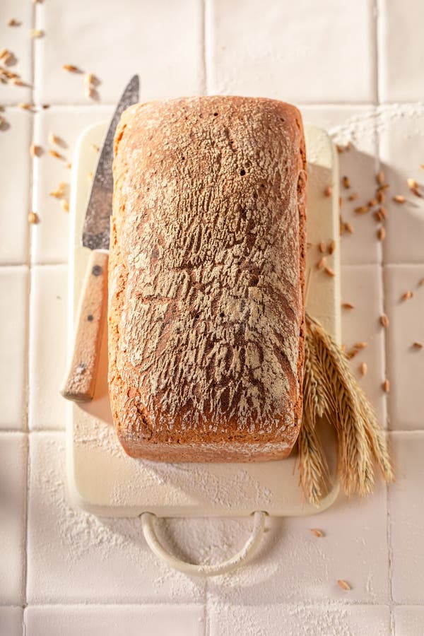 Rectangular and Hot Loaf of Rye Bread in Home Bakery Stock Photo ...