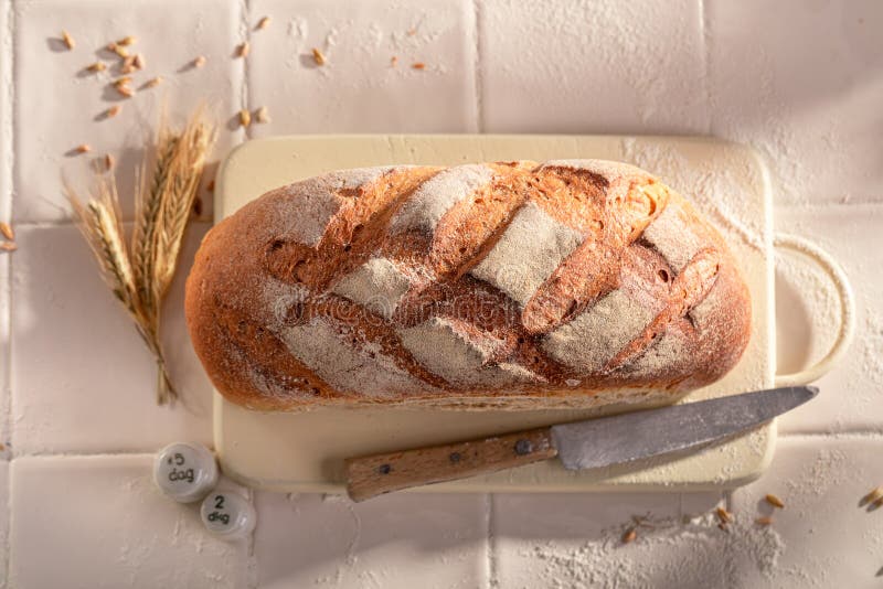 Rectangular and Hot Loaf of Rye Bread Perfect for Breakfast Stock Photo ...
