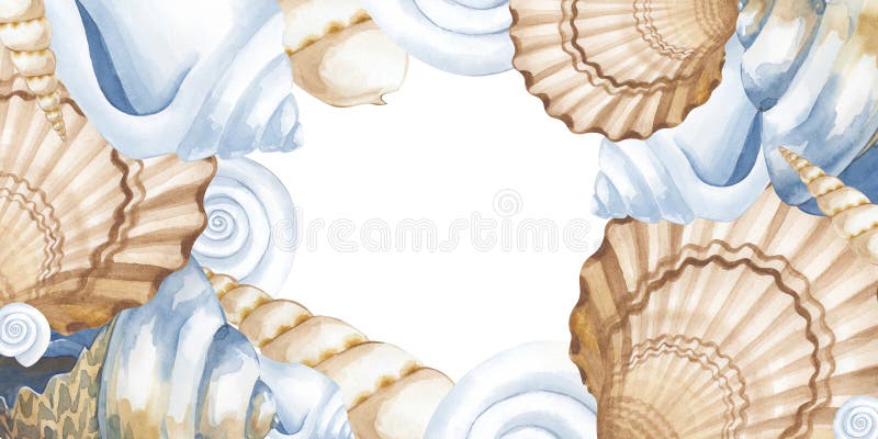 Rectangular Marine Frame with Various Shells, Hand-painted in ...