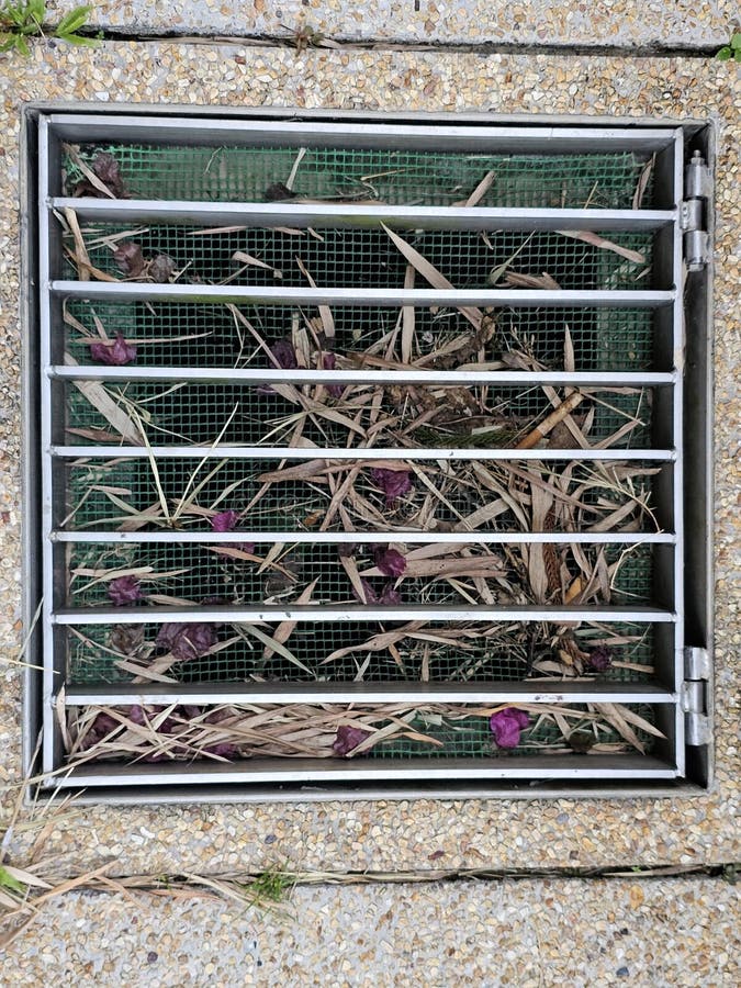 Rectangular Metal Drain Cover with Fallen Leaves and Debris Stock Photo ...