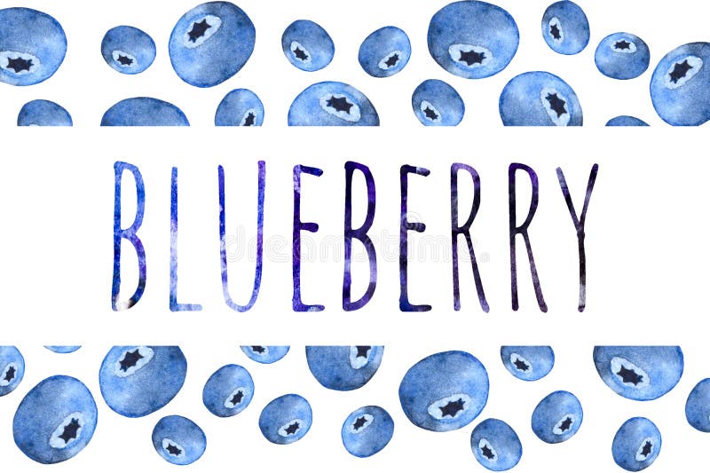 Indigo Blueberry Stock Illustrations – 605 Indigo Blueberry Stock ...