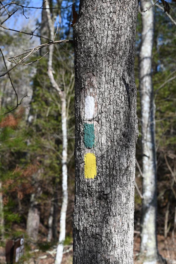 Trail Blazes stock photo. Image of coded, hike, markers - 175990012