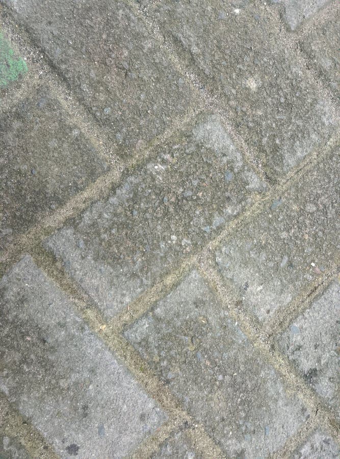 Rectangular paving in home stock photo. Image of paving - 264557872
