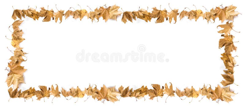 Leafs border stock illustration. Illustration of golden - 99730603