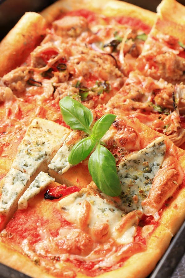 Rectangular pizza stock photo. Image of tomato, homemade - 25424436