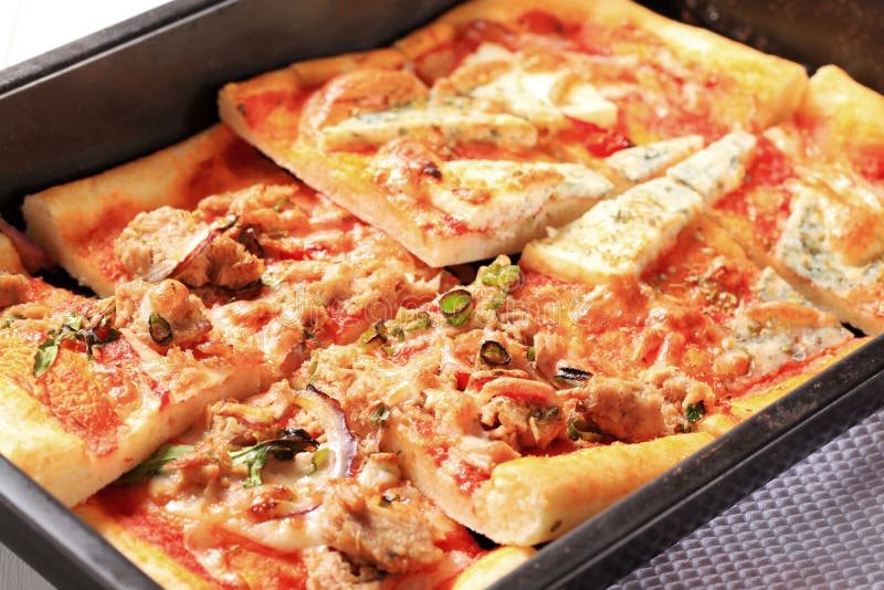 Rectangular pizza stock photo. Image of onion, homemade - 55063014