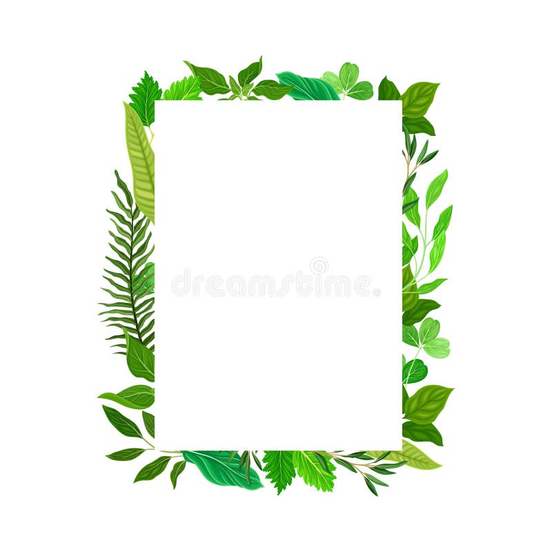 Rectangular Shaped Frame with Green Leaves or Foliage Vector ...