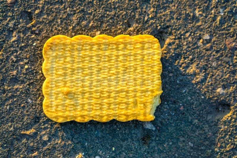 Rectangular Shortbread Cookies on Asphalt. Sunset Stock Photo - Image ...