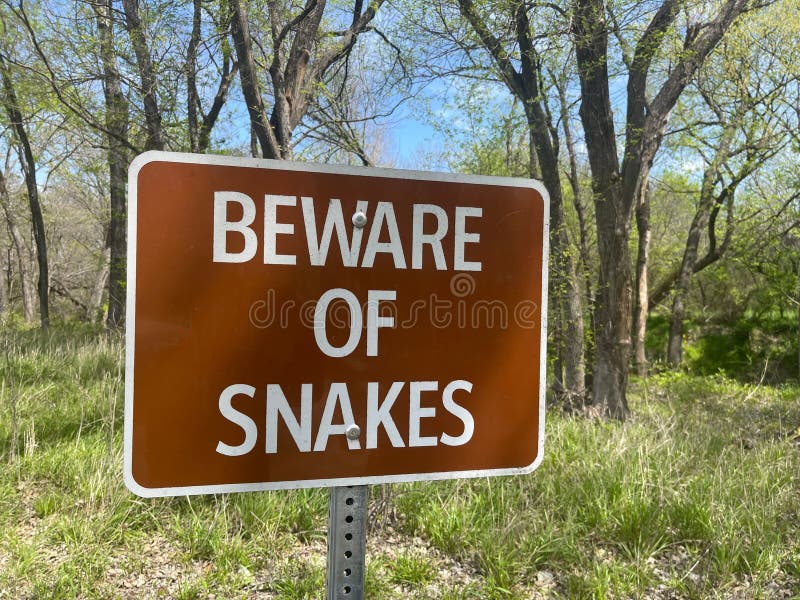 Rectangular Sign Featuring "BEWARE of SNAKES" with a Forest on the ...