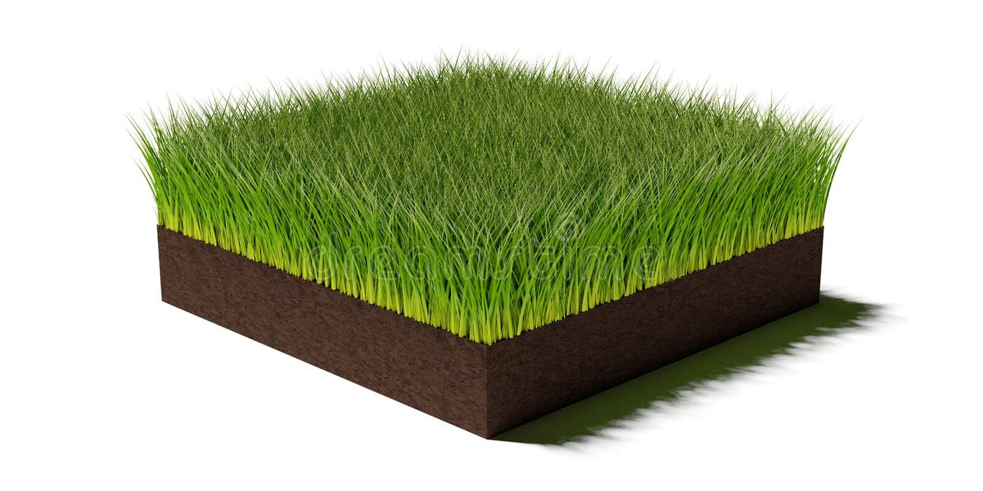 Square Grass Patch Stock Illustrations – 53 Square Grass Patch Stock ...