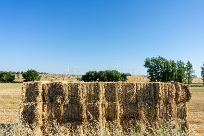 Rectangular Stack of Hay Bales in the Middle of a Field Under a Clear ...