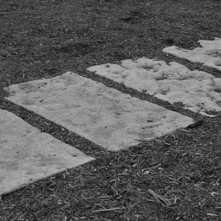 Rectangular Stepping Stone Walkway in Grayscale Stock Image - Image of ...