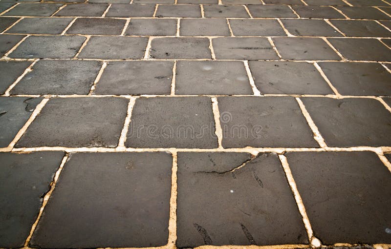 Rectangular Stone Walkways and Grass Space between Stone in Gard Stock ...