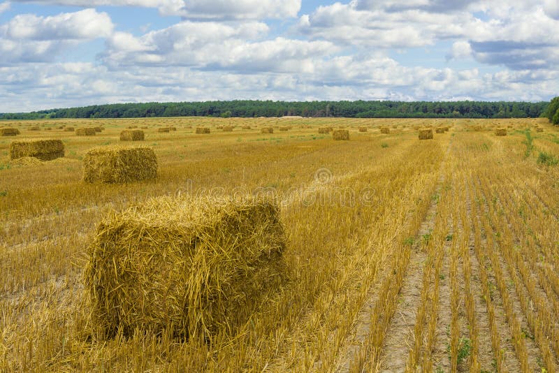 Rectangular straw stack stock photo. Image of square - 34607210
