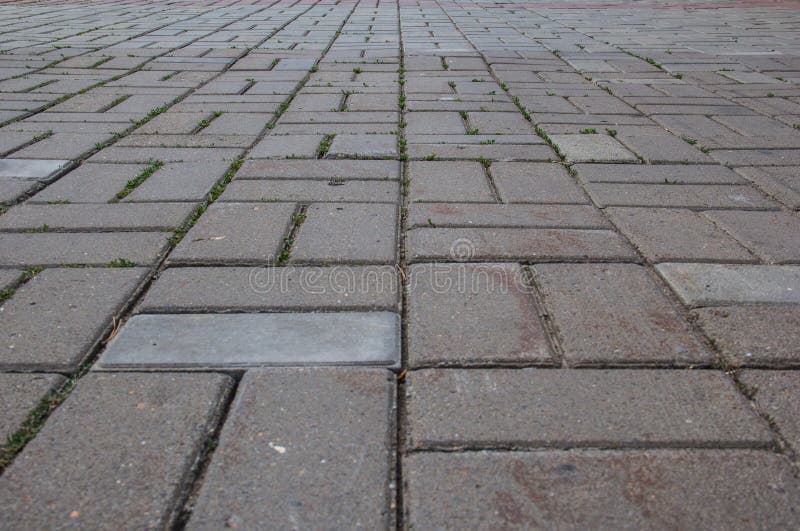A Rectangular Tile with Grass Growing between it Stock Photo - Image of ...