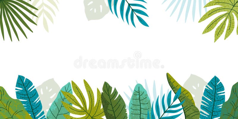 Rectangular Tropical Background with Copy Space. Summer Concept Stock ...