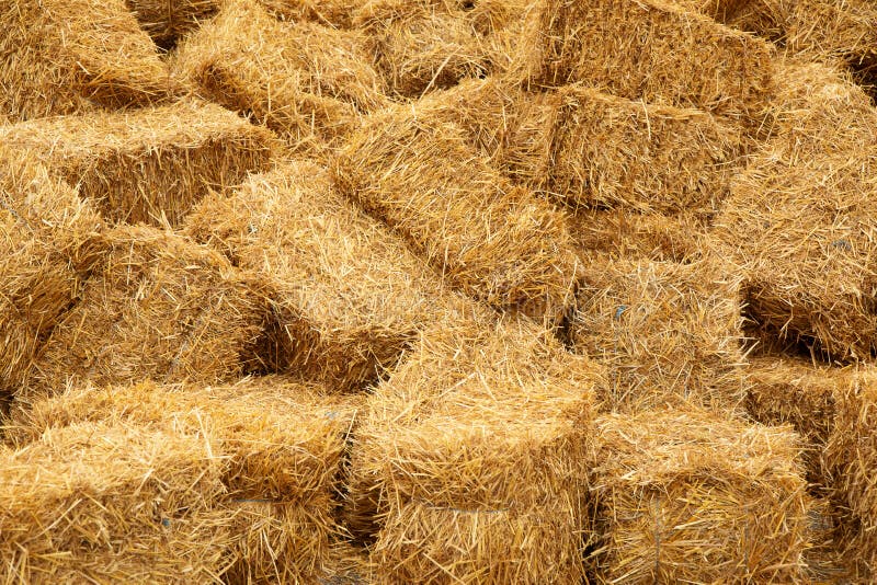 Hay Packs stock image. Image of white, packs, mowed, clouds - 43351393