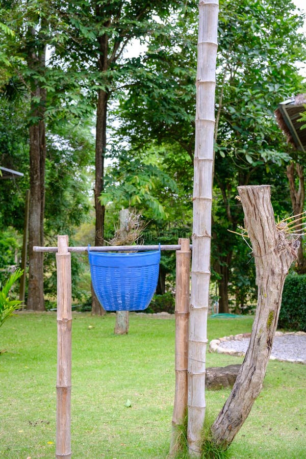 Recycle Bin in Garden with Bamboo Tower Stock Photo - Image of black ...