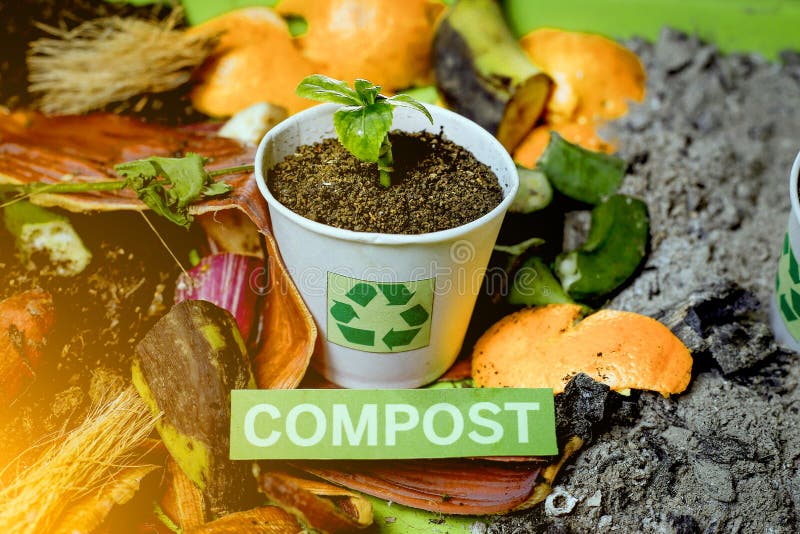 Recycle and composting stock image. Image of composting - 309842227