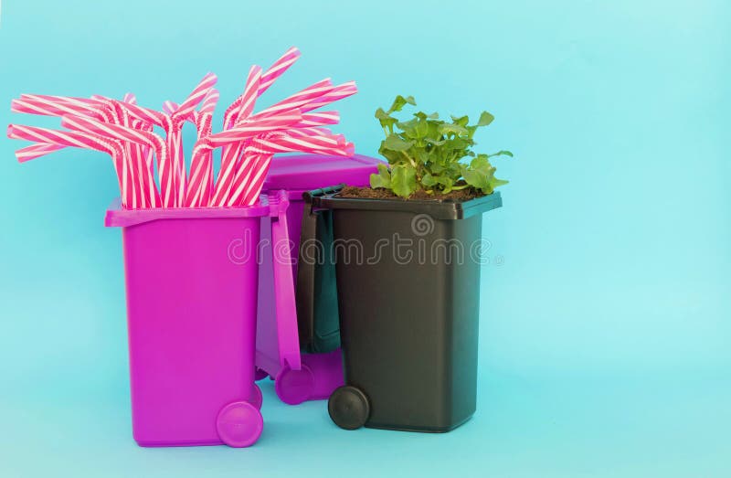Garbage Pot Full of Plastic Straws and Other with a Natural Plant on a ...