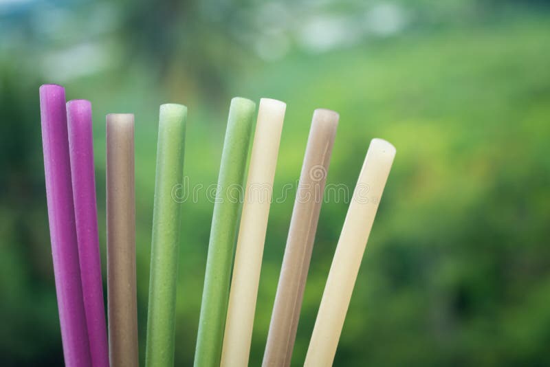 Recycle Rice Husk for Organic Fertilizer. Stock Image - Image of manure ...