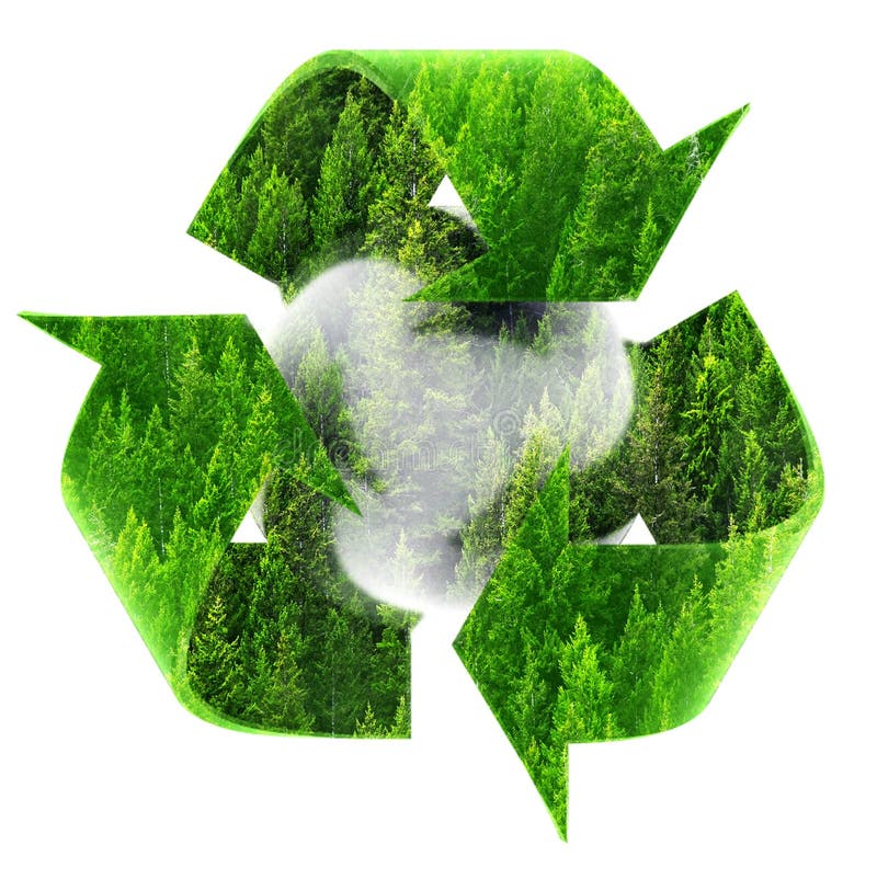 Recycle Symbol with Forest of Pine Trees Stock Illustration ...