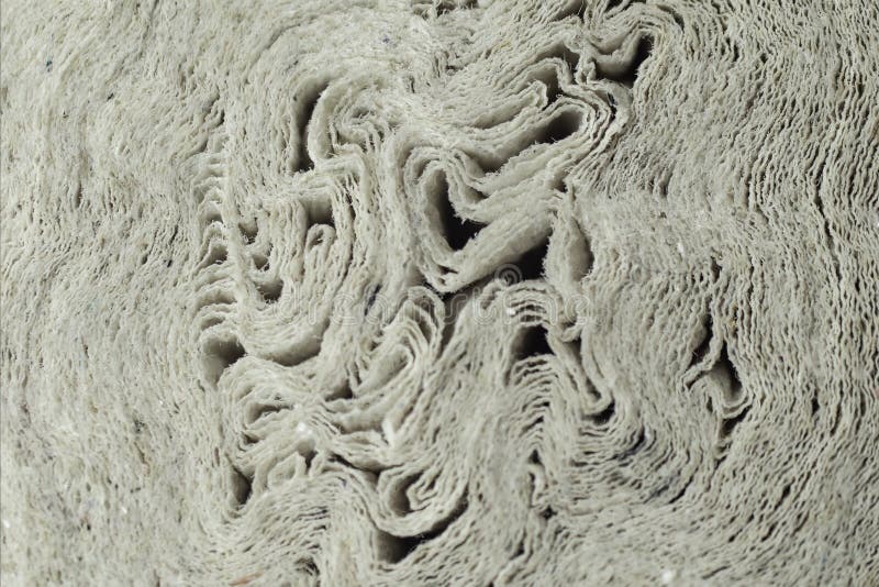 Recycled Cellulose Toilet Paper Roll, Top View Texture Stock Image ...