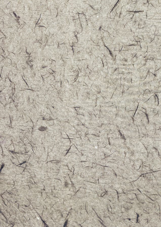 50+ Paper pulp texture Free Stock Photos - StockFreeImages