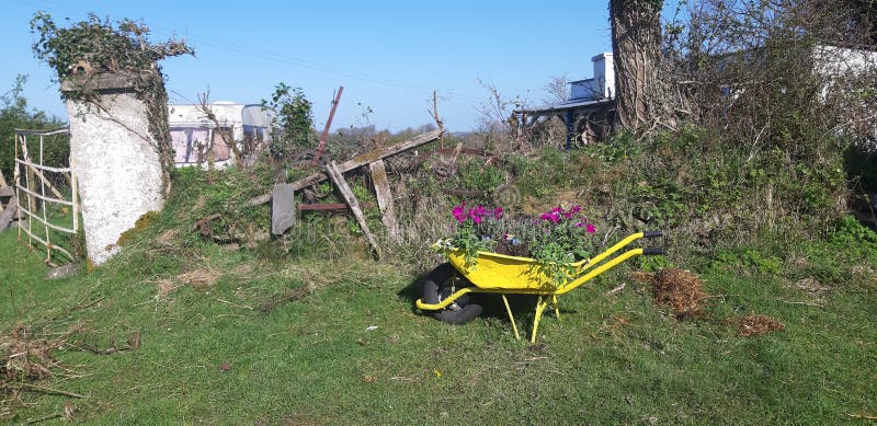 Recycled Wheelbarrow for Flowers Stock Photo - Image of playground ...