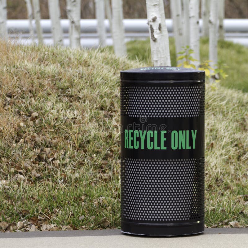Recycling Bin with Aspen Trees Stock Image - Image of environment ...