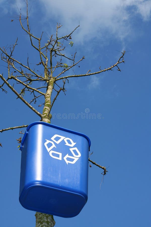 Recycling bin on tree stock image. Image of sunny, rubbish - 5403745