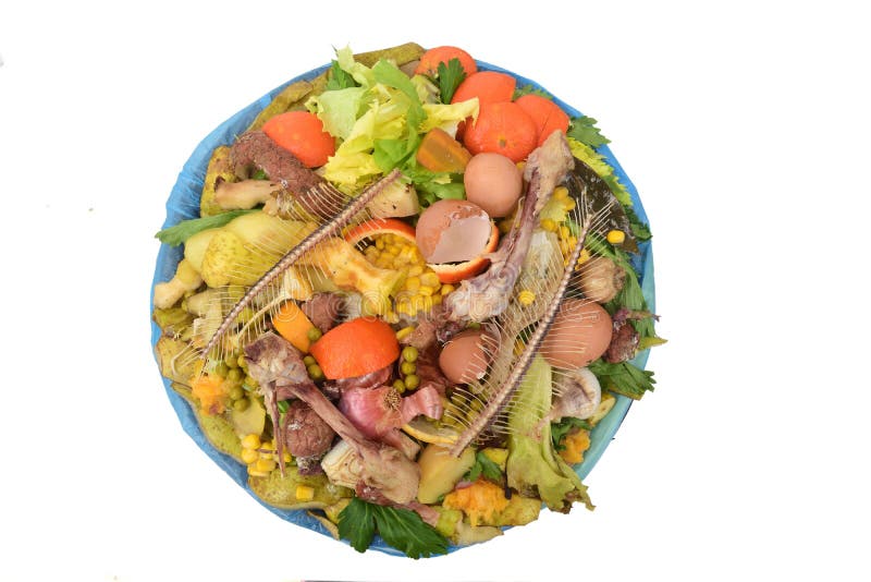 Recycling for Compost Fruits, Vegetagles, Fish, Egg and Bones Stock ...