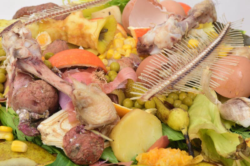 Recycling for Compost Fruits,vegetagles,fish,egg and Bones Stock Image ...