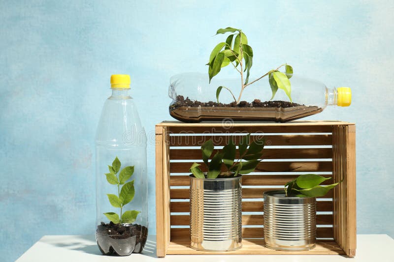 Recycling Concept. Metal Cans and Plastic Bottles with Growing Plants ...