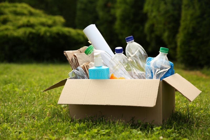 Recycling Different Garbage Cardboard Box Green Grass Outdoors Stock ...